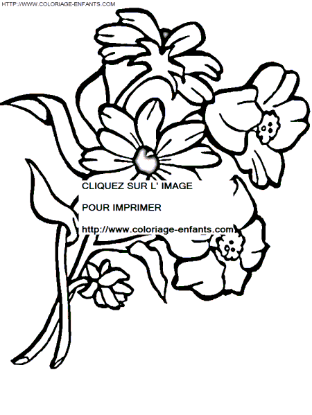 Flower coloring - Flower coloring pages to color - Flower coloring book ...