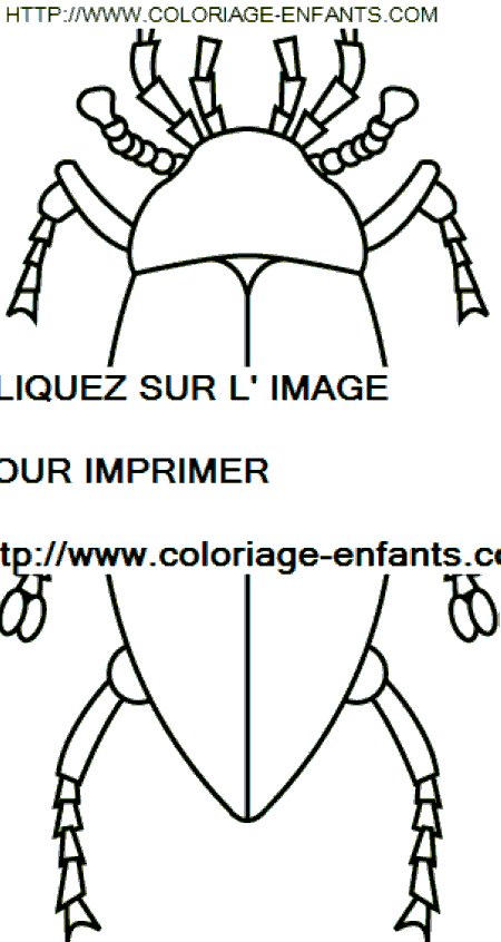 Insects coloring - Insects coloring pages to color - Insects coloring ...