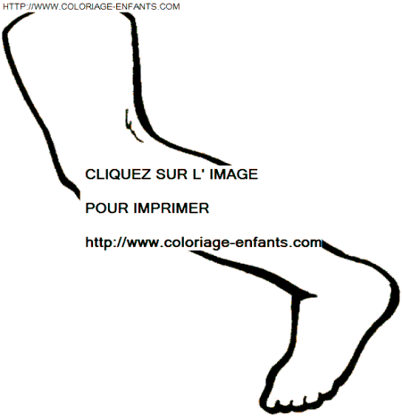 Human Body coloring - Human Body coloring pages to color - Human-Body ...